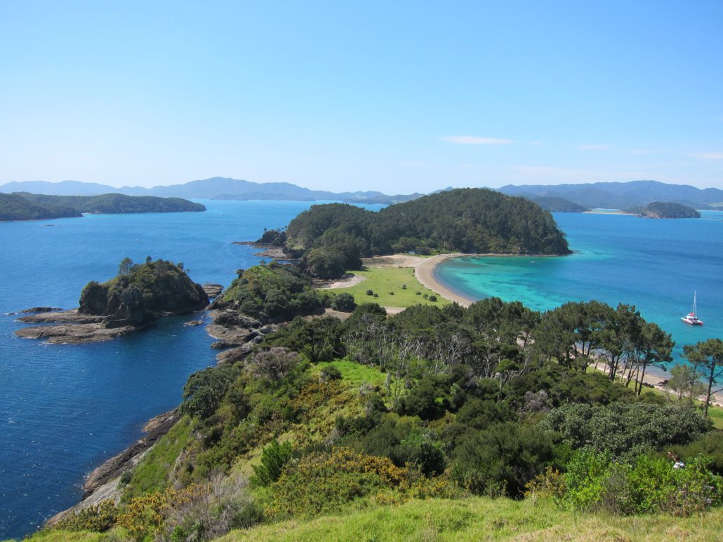A Thrilling Adventure Through New Zealand's North Island - Tripio