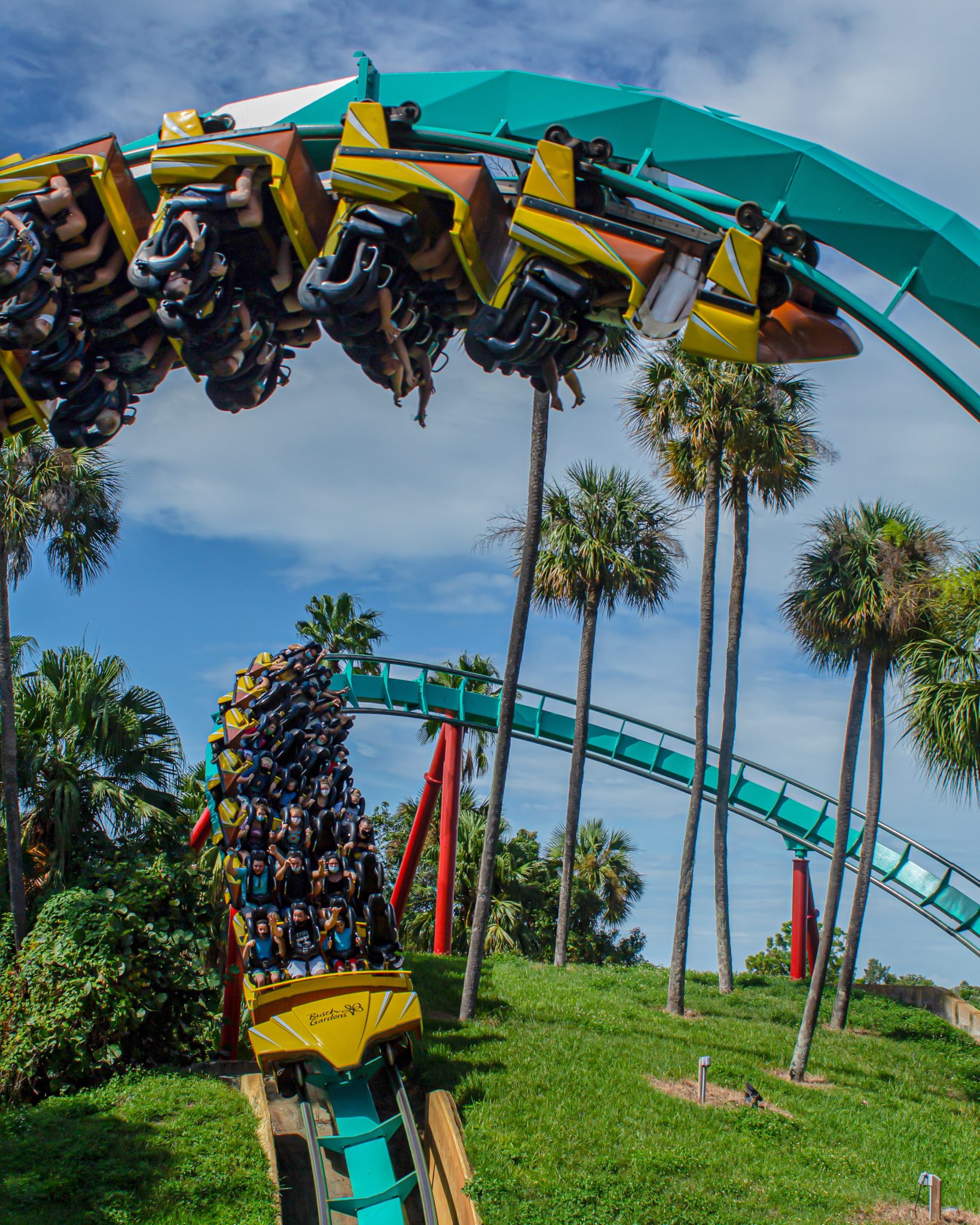 Ultimate Florida Road Trip: From Panhandle to Miami - Tripio